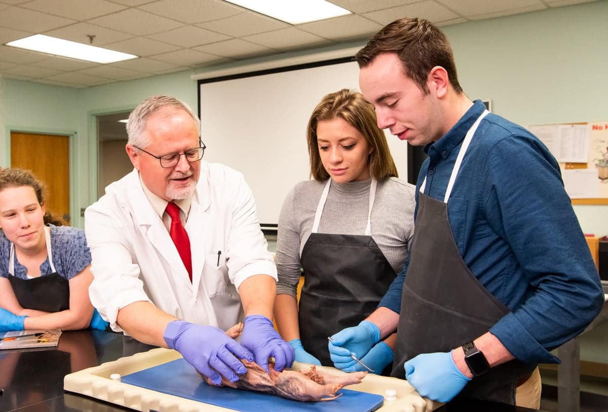 Dr. Wesley Robbins: Focusing on Pharmacy and Family • Pensacola ...